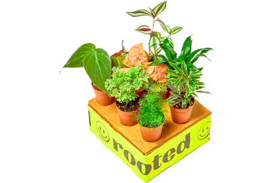 27 Best Gifts for Plant Lovers of 2026 | Reviews by Wirecutter