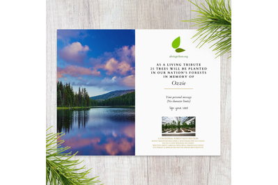 14 Best Pet Loss Gifts of 2025 | Reviews by Wirecutter