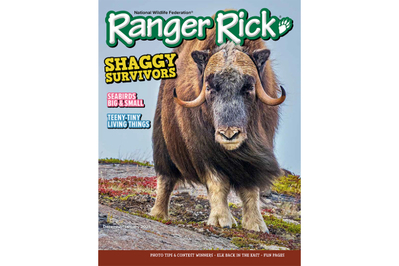 Our 10 Favorite Kids Magazine Subscriptions Make Great Gifts | Reviews ...