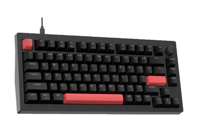 The 12 Best Keyboards for 2026 | Reviews by Wirecutter