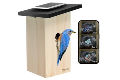 First We Fell in Love With a Smart Bird Feeder. Then This Smart Bird ...