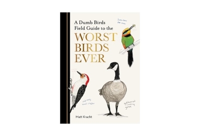 19 Gag Gifts (That They Might Actually Use) | Reviews by Wirecutter